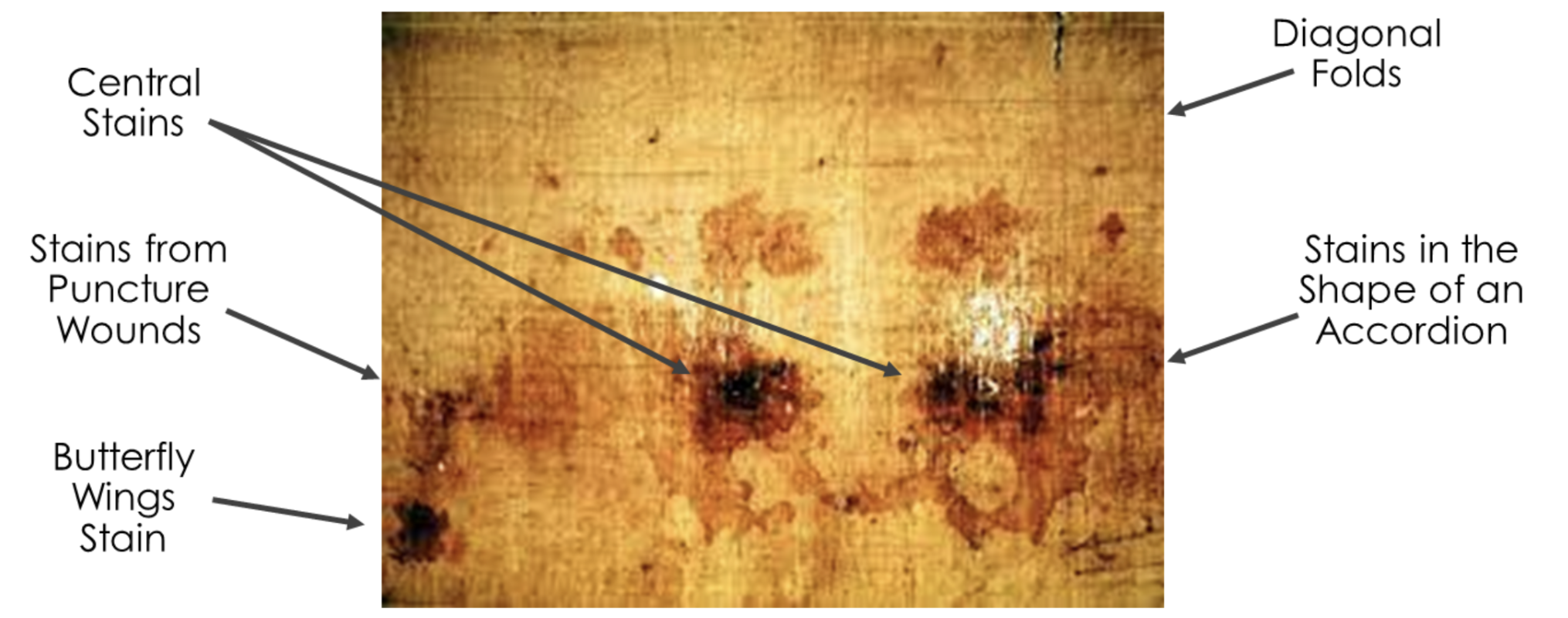 Another Piece of Evidence: the Sudarium of Oviedo - Othonia